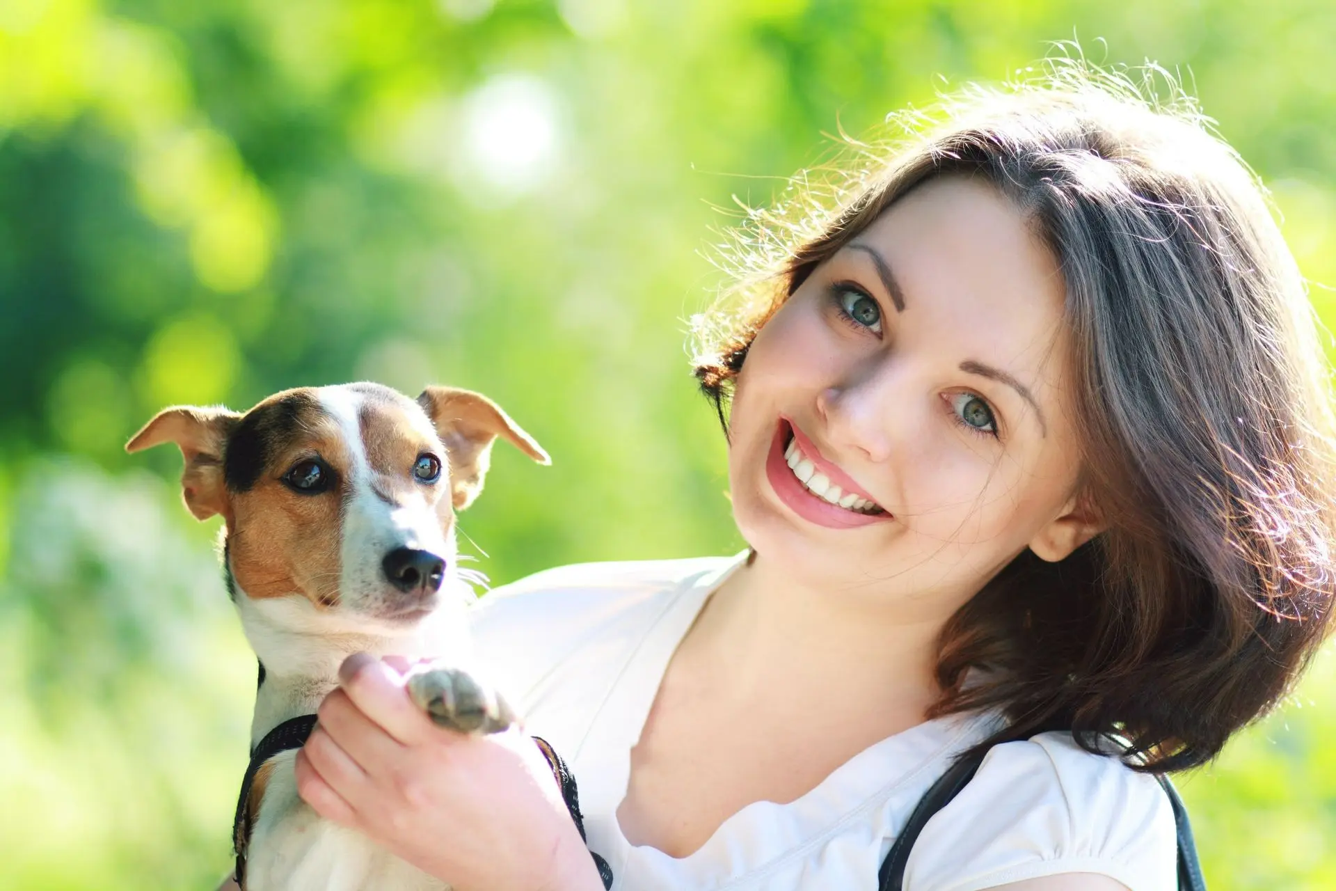 Dogs and Human Emotion